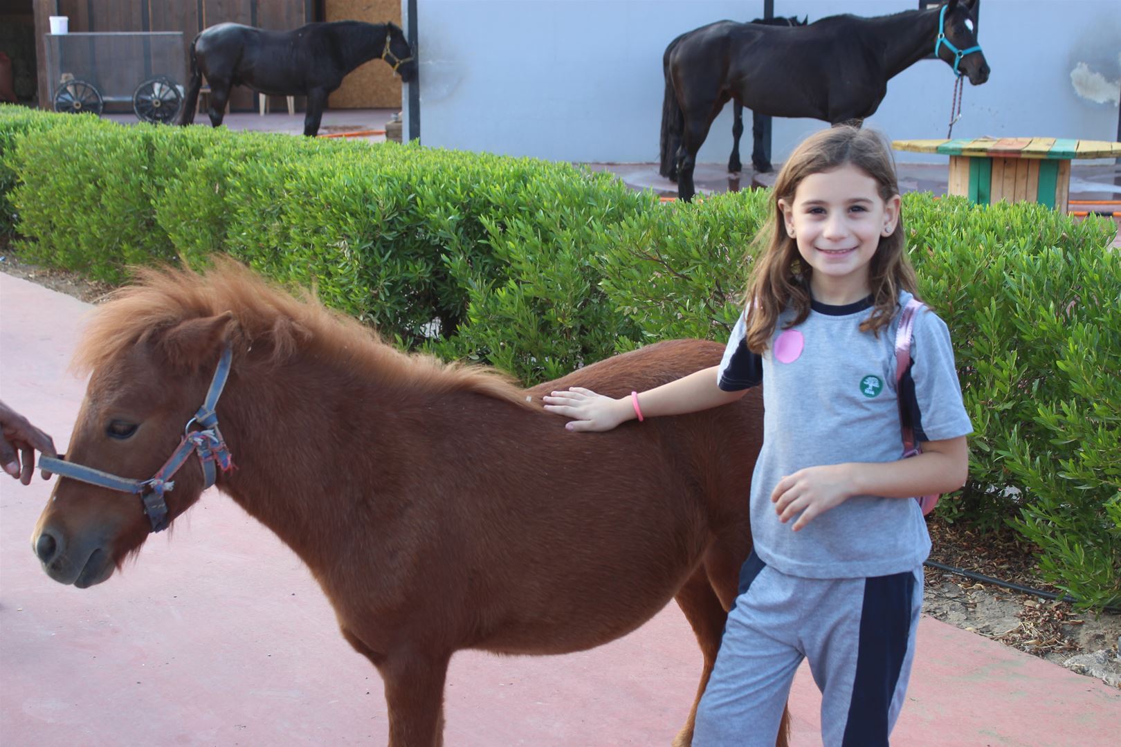 Majidi Land - Gr. 3 Trip - The International School of Choueifat – Erbil